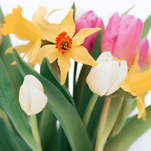 The Meaning Behind Funeral Flower Arrangements
