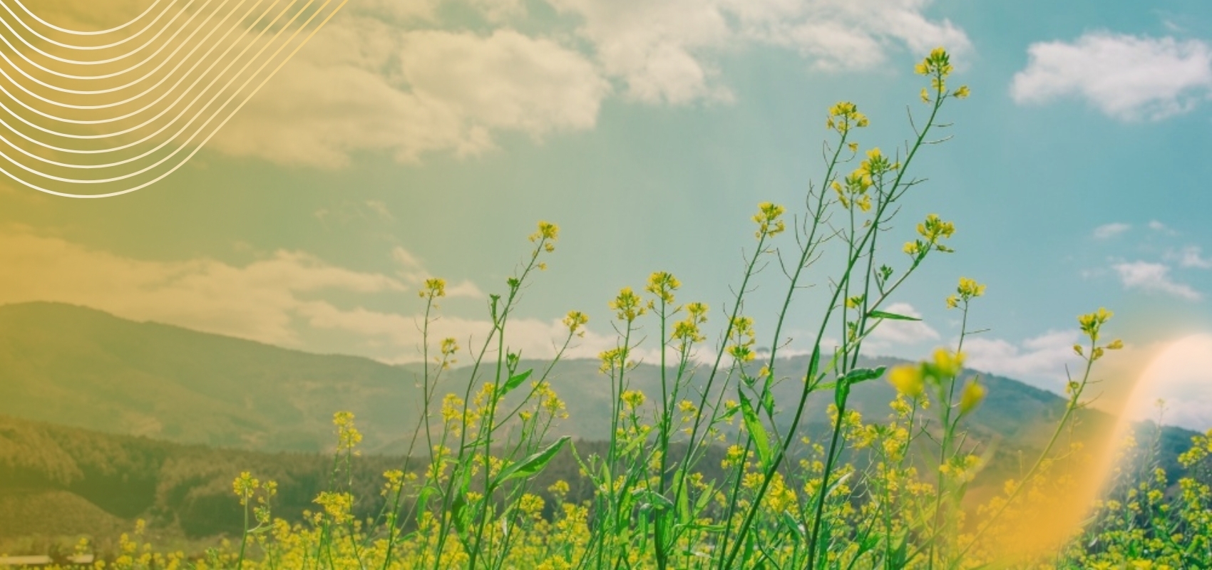 What Nature Teaches Us About Death and Grief